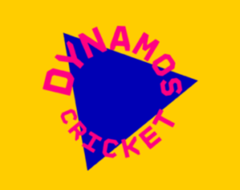 Dynamos Cricket Comes To Hampshire | The Utilita Bowl